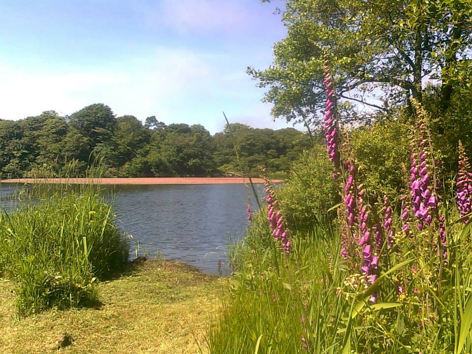 Nature & Wildlife – Lochnaw Castle